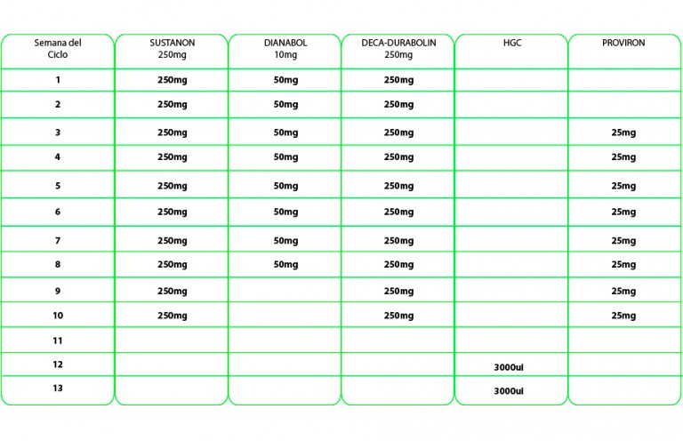 CICLO DE VOLUMEN 2 , Intermedios. - Fibra MuscularFibra Muscular